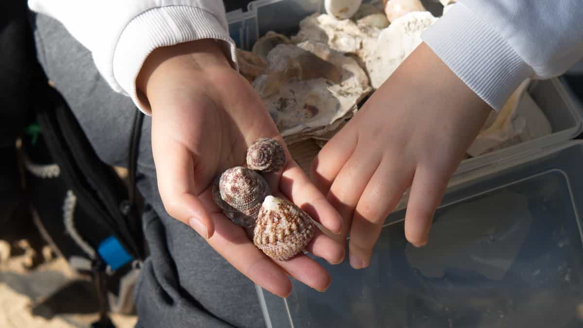 RV Travel in China | Explore China by Road with CrissCrossChina